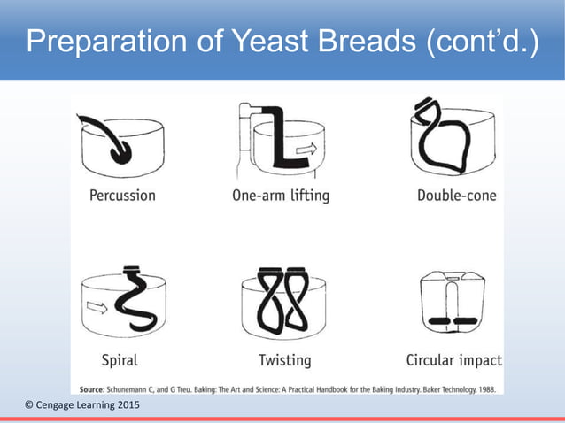 Chapter 20 - Yeast Breads | PPT