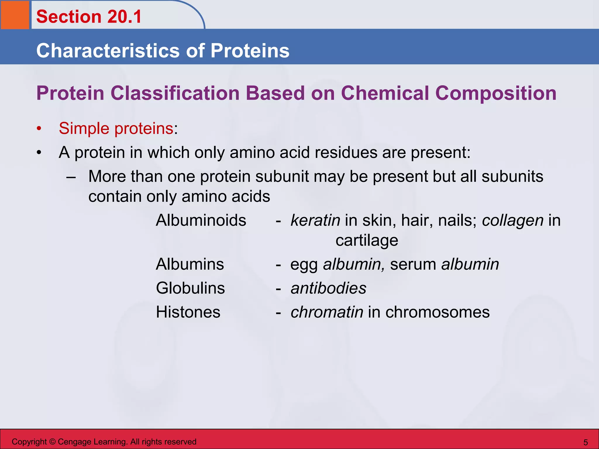 Chem 45 Biochemistry: Stoker Chapter 20 Proteins | PDF
