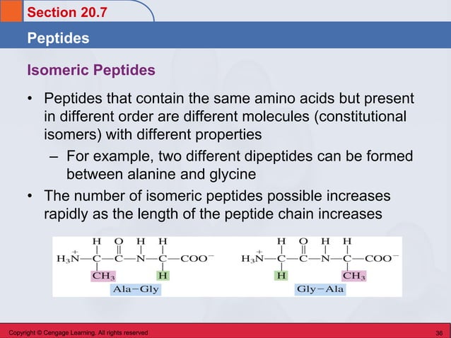 Chem 45 Biochemistry: Stoker Chapter 20 Proteins | PDF