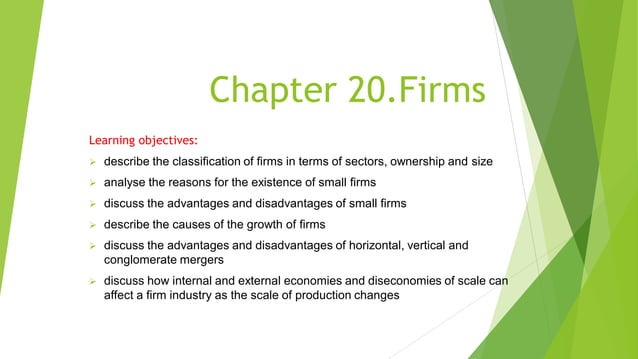 Chapter 20 Firms in IGCSE economics presentation | PDF | Mergers and ...