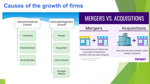 Chapter 20 Firms in IGCSE economics presentation | PDF | Mergers and ...