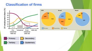 Chapter 20 Firms in IGCSE economics presentation | PDF