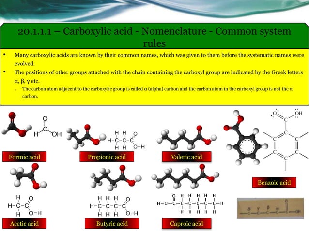 Chapter 20 carboxylic acids and functional derivatives | PPTX | Chemistry | Science