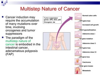 Cancer | PPT