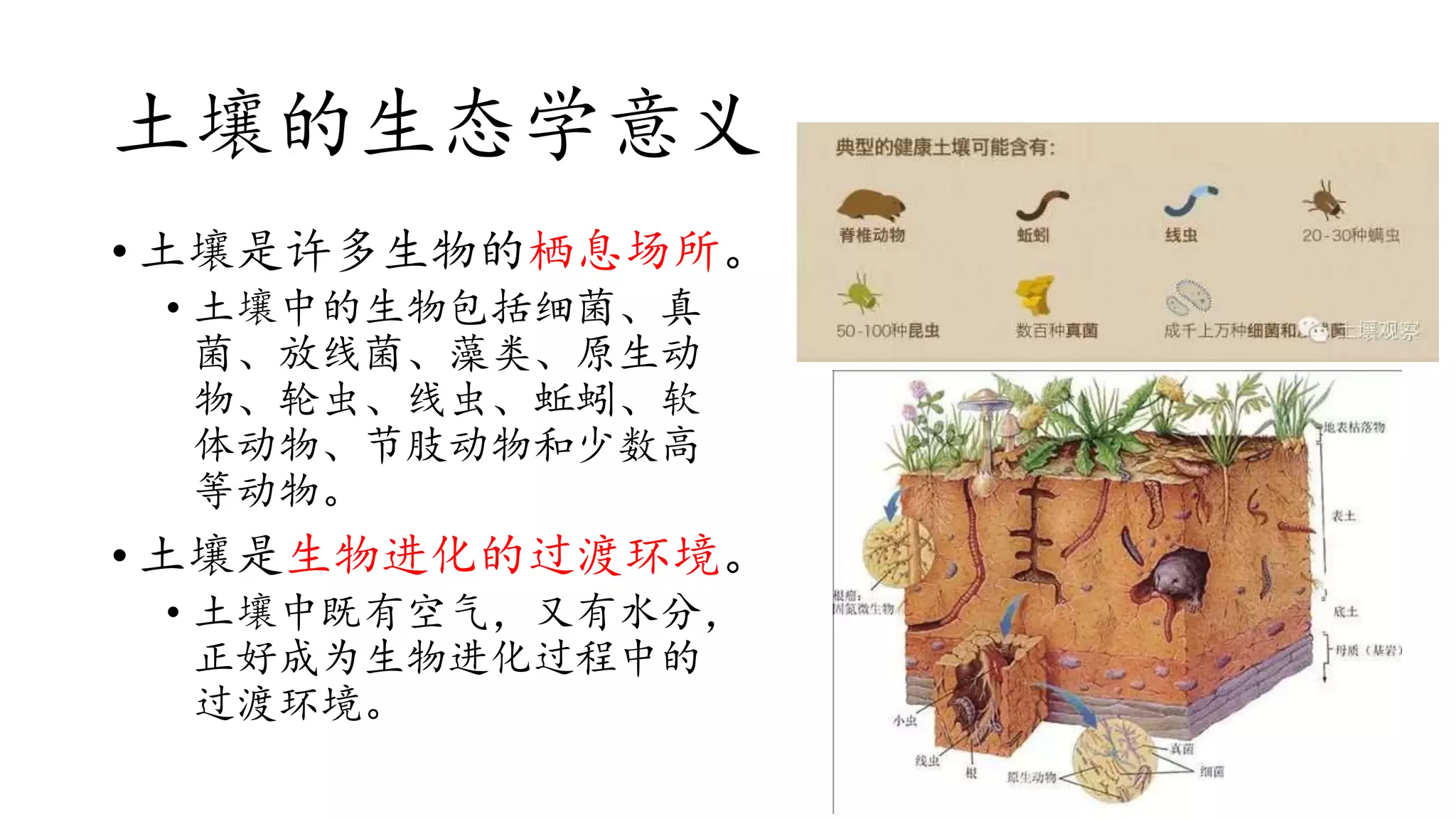 Chapter 20 ecosystem chinese | PPT