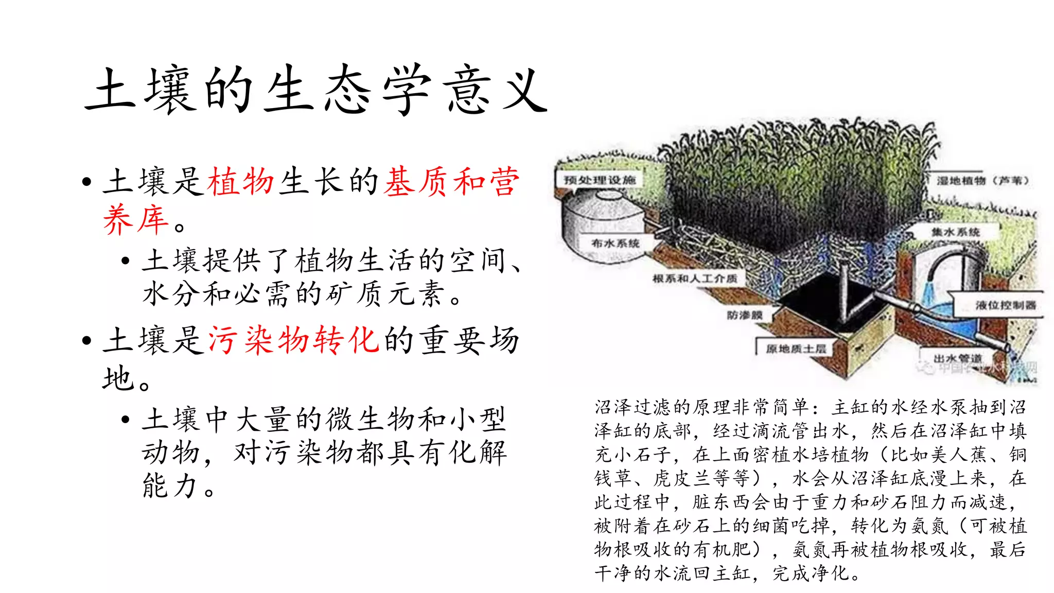 Chapter 20 ecosystem chinese | PPT