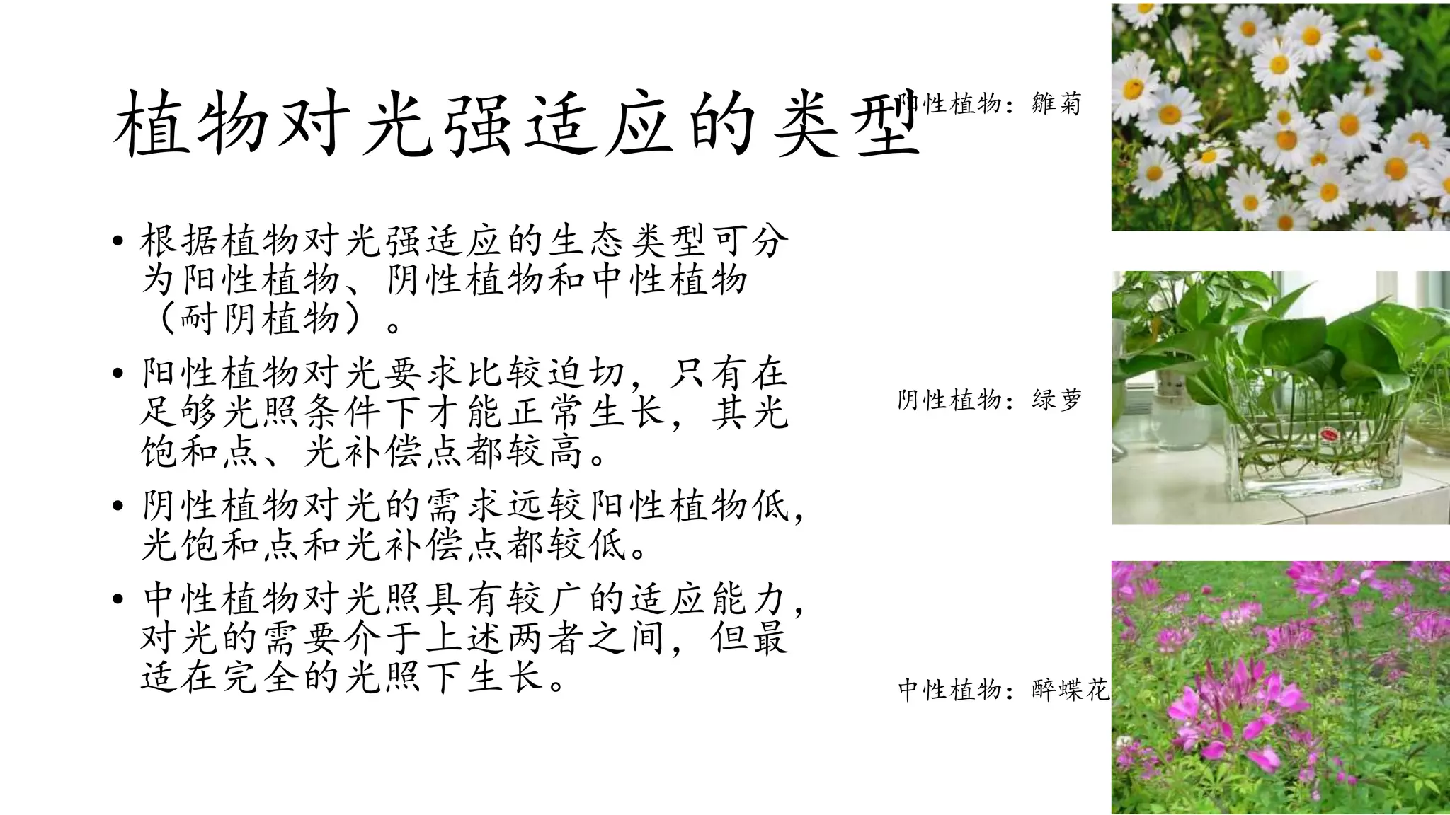 Chapter 20 ecosystem chinese | PPT