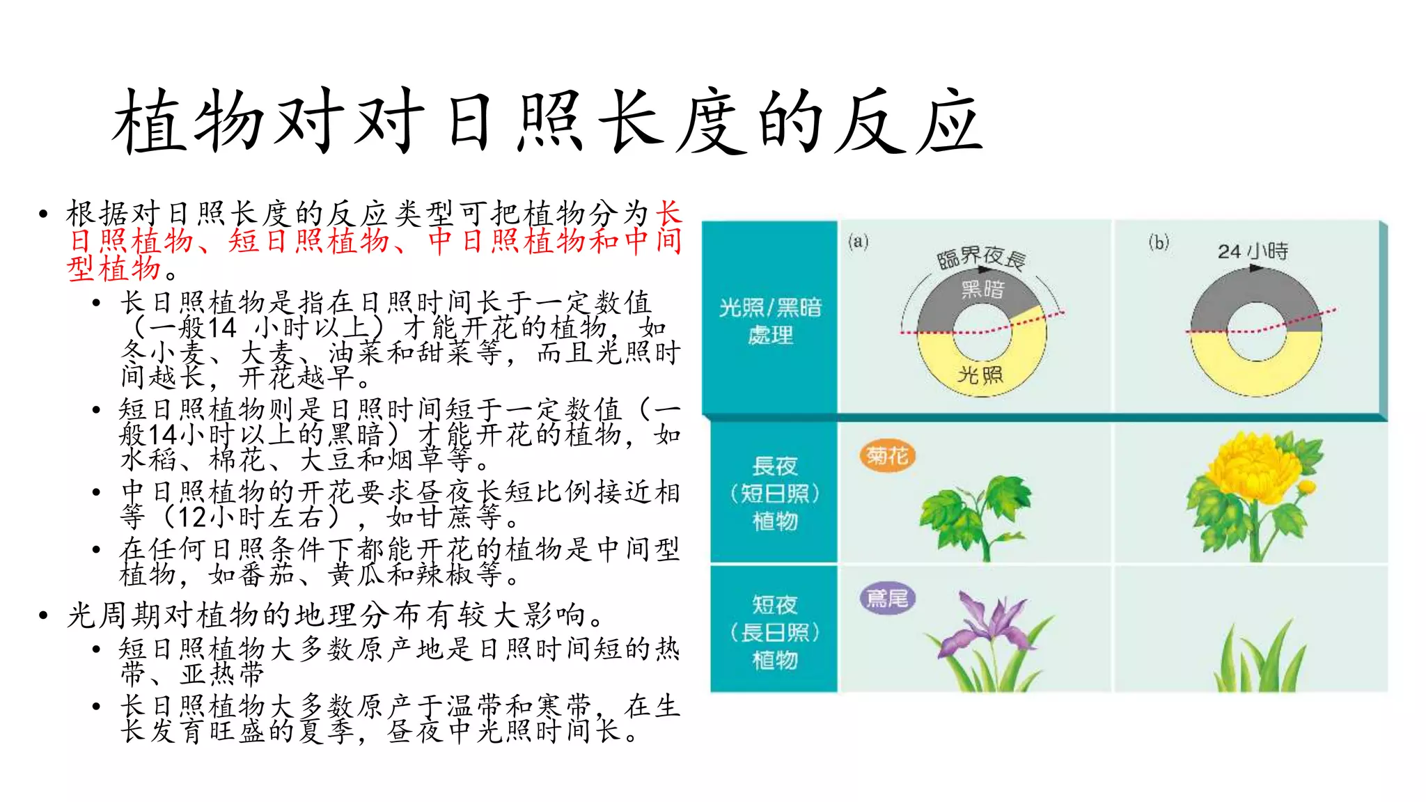 Chapter 20 ecosystem chinese | PPT