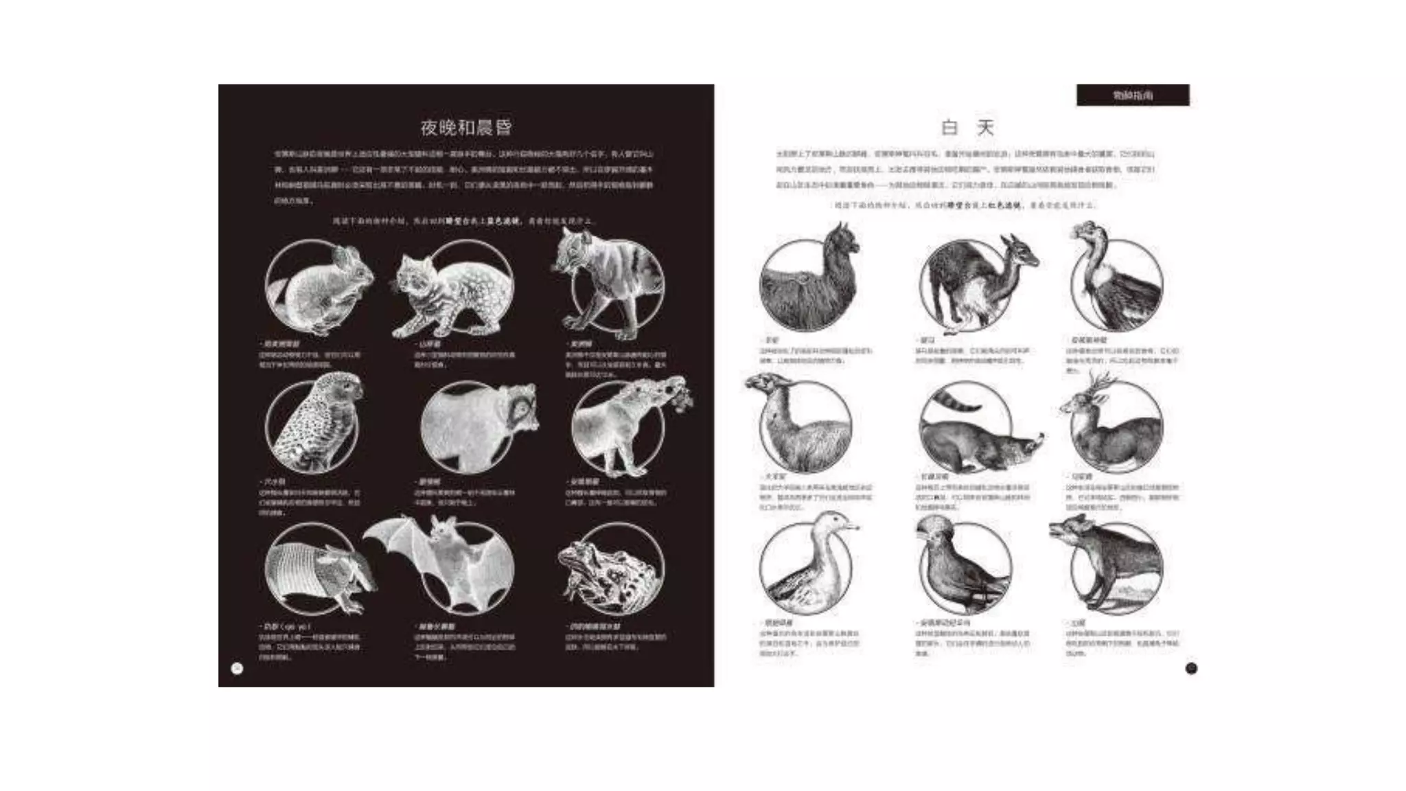 Chapter 20 ecosystem chinese | PPT