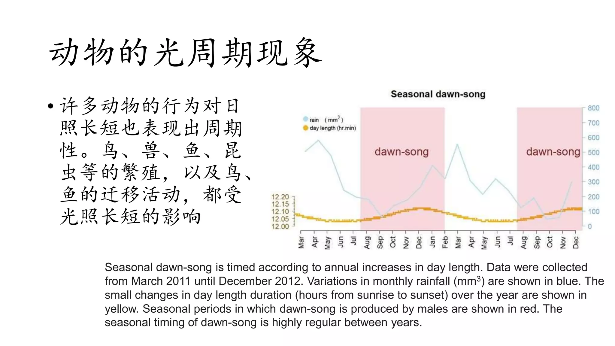 Chapter 20 ecosystem chinese | PPT