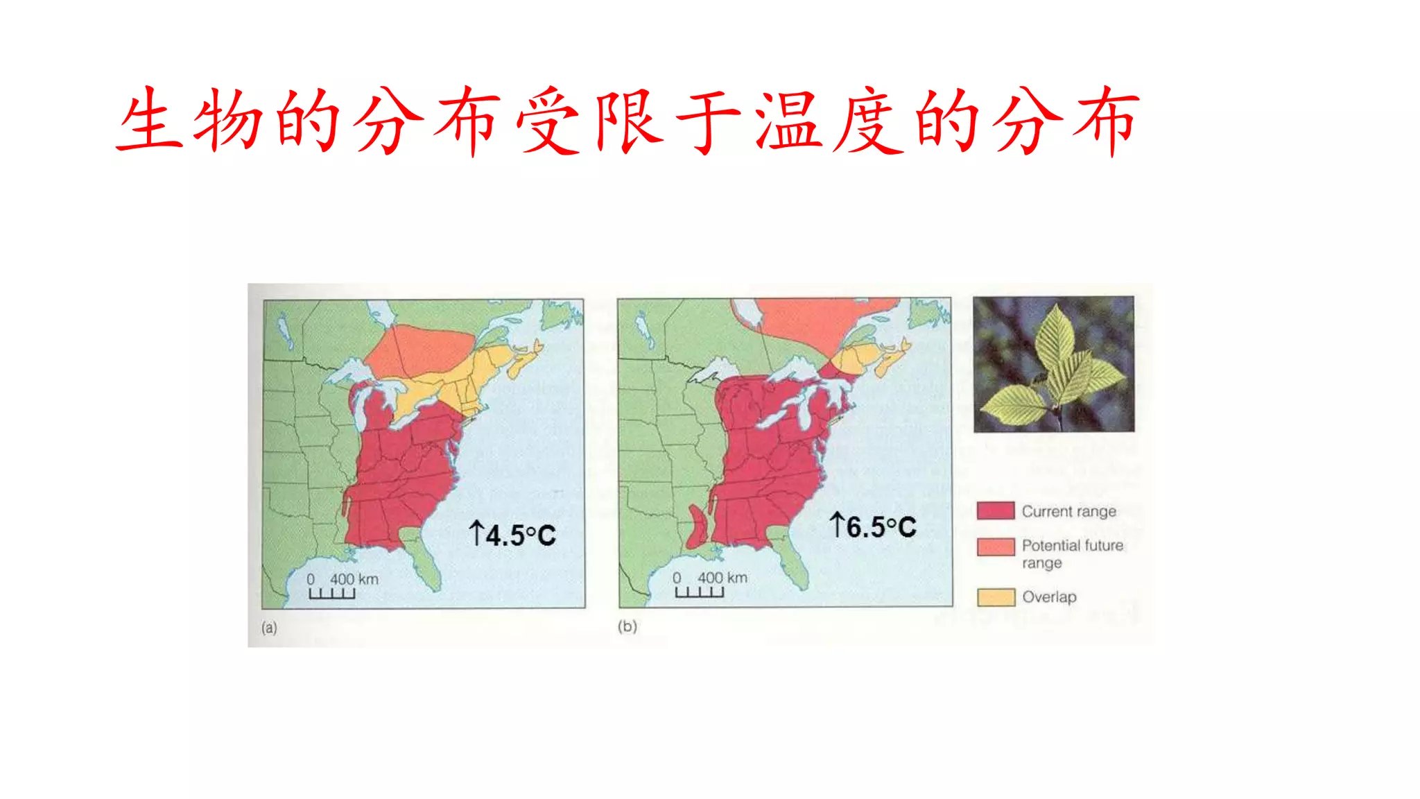 Chapter 20 ecosystem chinese | PPT