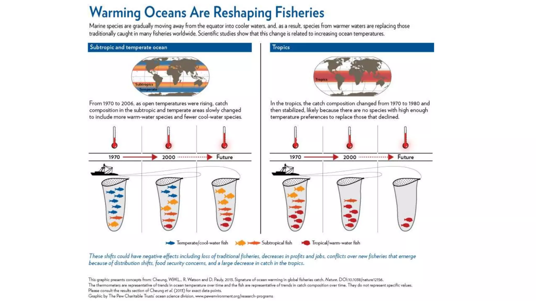 Chapter 20 ecosystem chinese | PPT