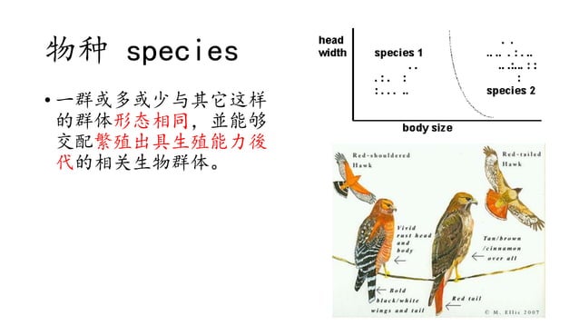 Chapter 20 ecosystem chinese | PPT