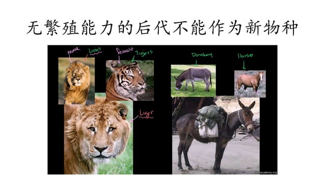 Chapter 20 ecosystem chinese | PPT