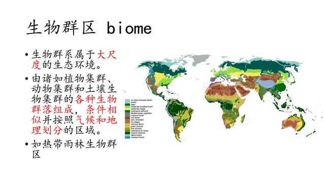 Chapter 20 ecosystem chinese | PPT