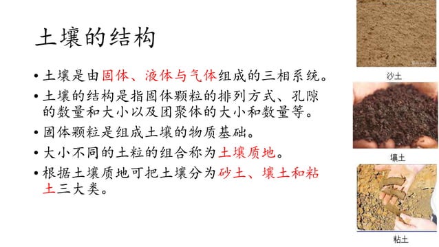 Chapter 20 ecosystem chinese | PPT