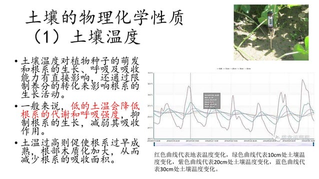 Chapter 20 ecosystem chinese | PPT
