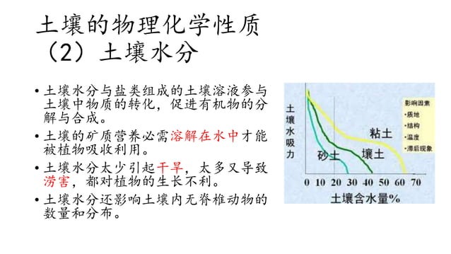 Chapter 20 ecosystem chinese | PPT