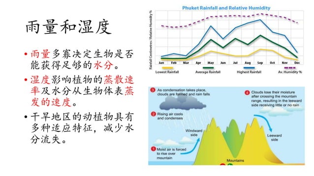 Chapter 20 ecosystem chinese | PPT
