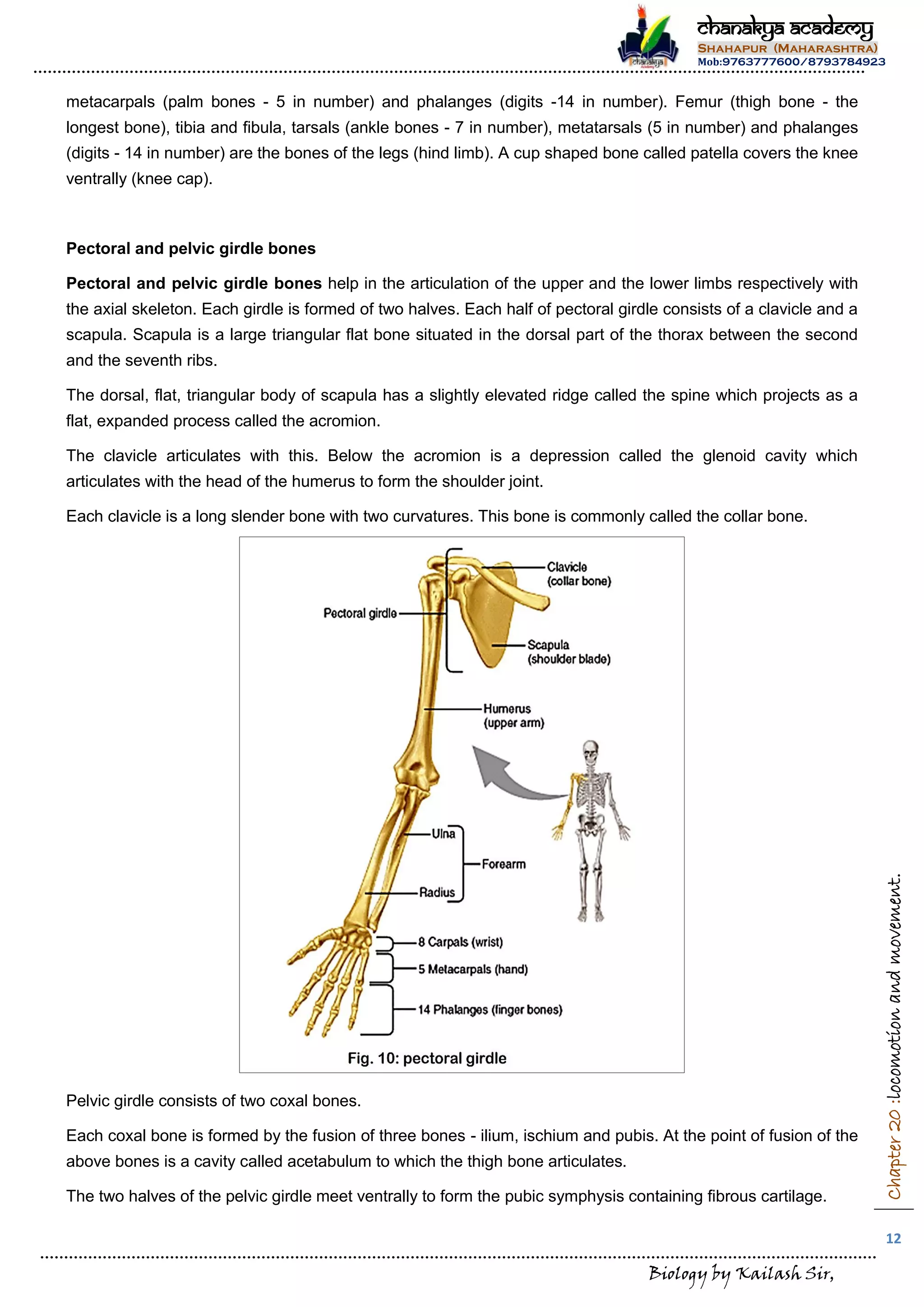 Chapter 20 locomotion and movement | PDF