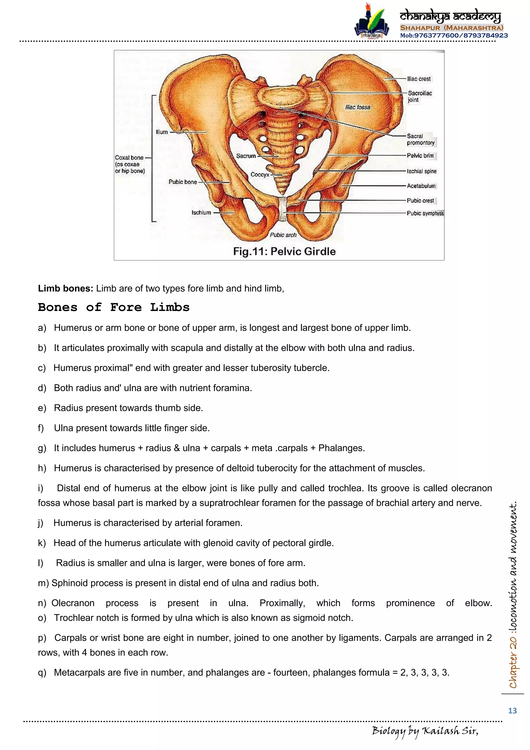 Chapter 20 locomotion and movement | PDF