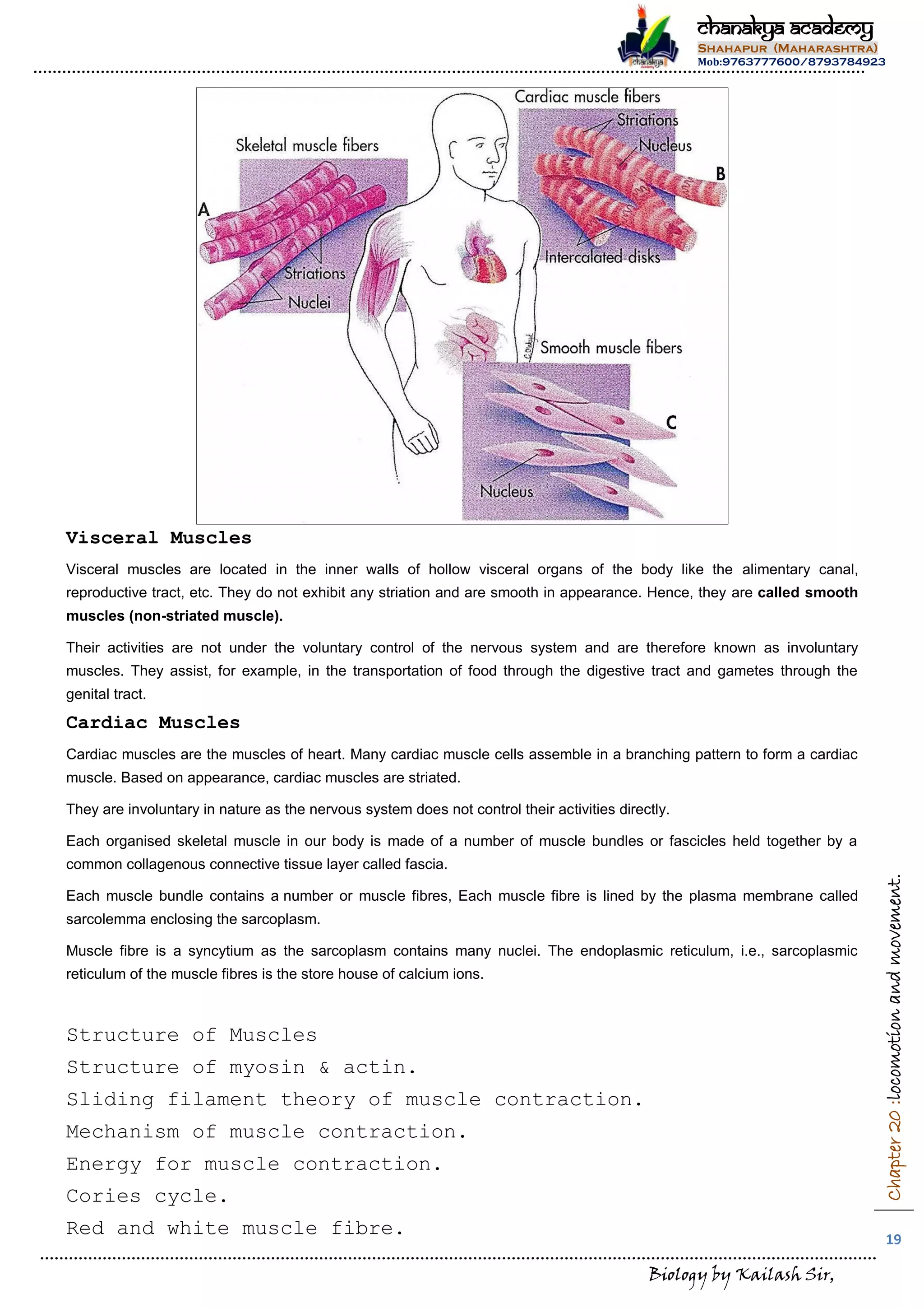 Chapter 20 locomotion and movement | PDF