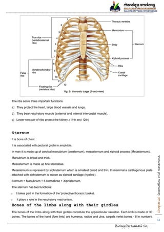 Chapter 20 locomotion and movement | PDF