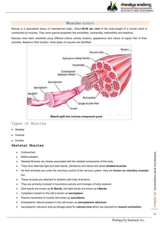 Chapter 20 locomotion and movement | PDF