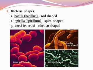 Chapter 20 notes | PPTX