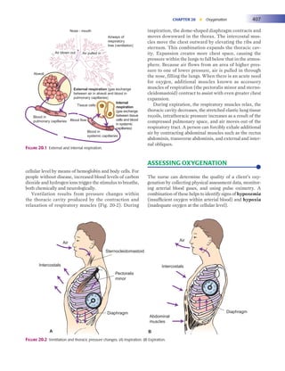 Chapter 20 Oxygenation.pdf