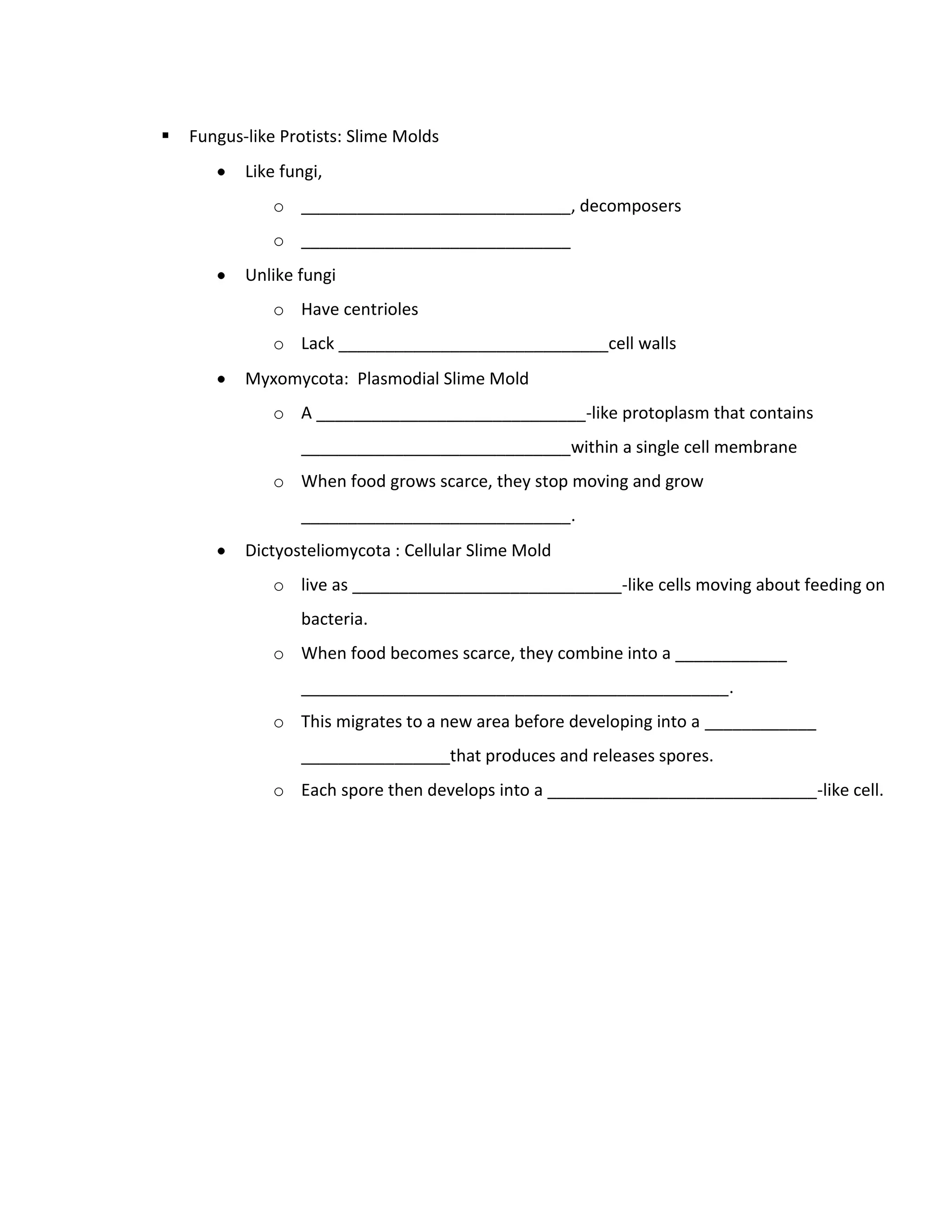 Chapter 20 protist notes | DOCX