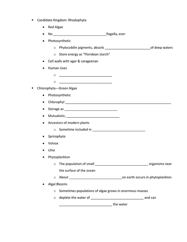 Chapter 20 protist notes | PDF