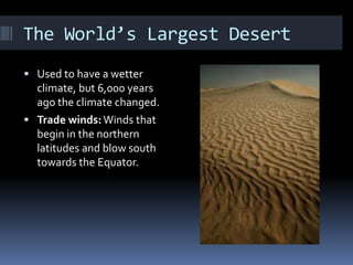 Chapter 20 review | PPTX