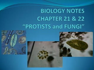 Chapter 21 and 22 notes | PPTX | Biological Sciences | Science