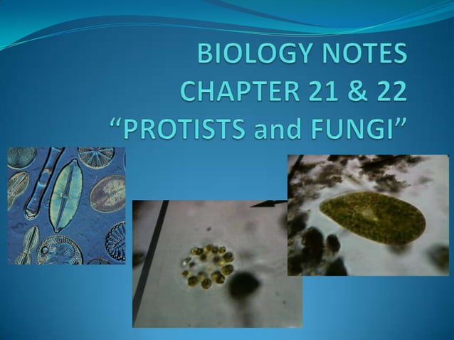 Chapter 21 and 22 notes | PPT