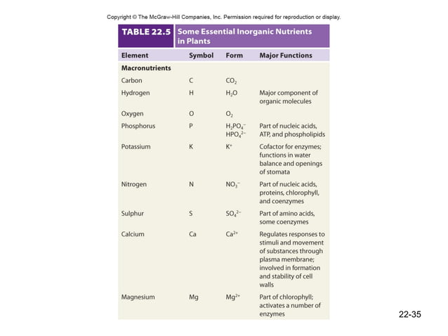 Bio 100 Chapter 22 | PPT
