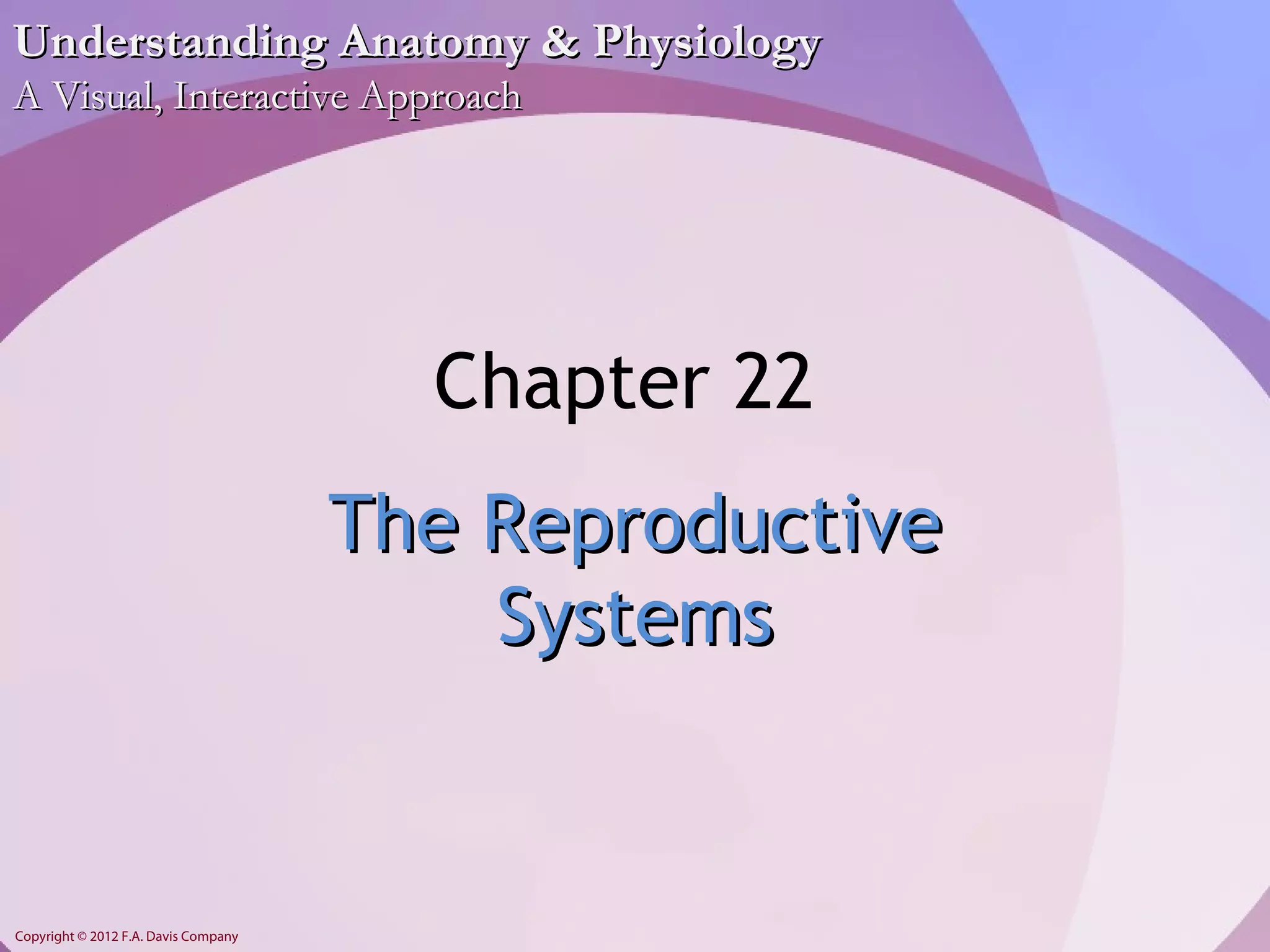 Chapter22 - Reproductive System | PPT