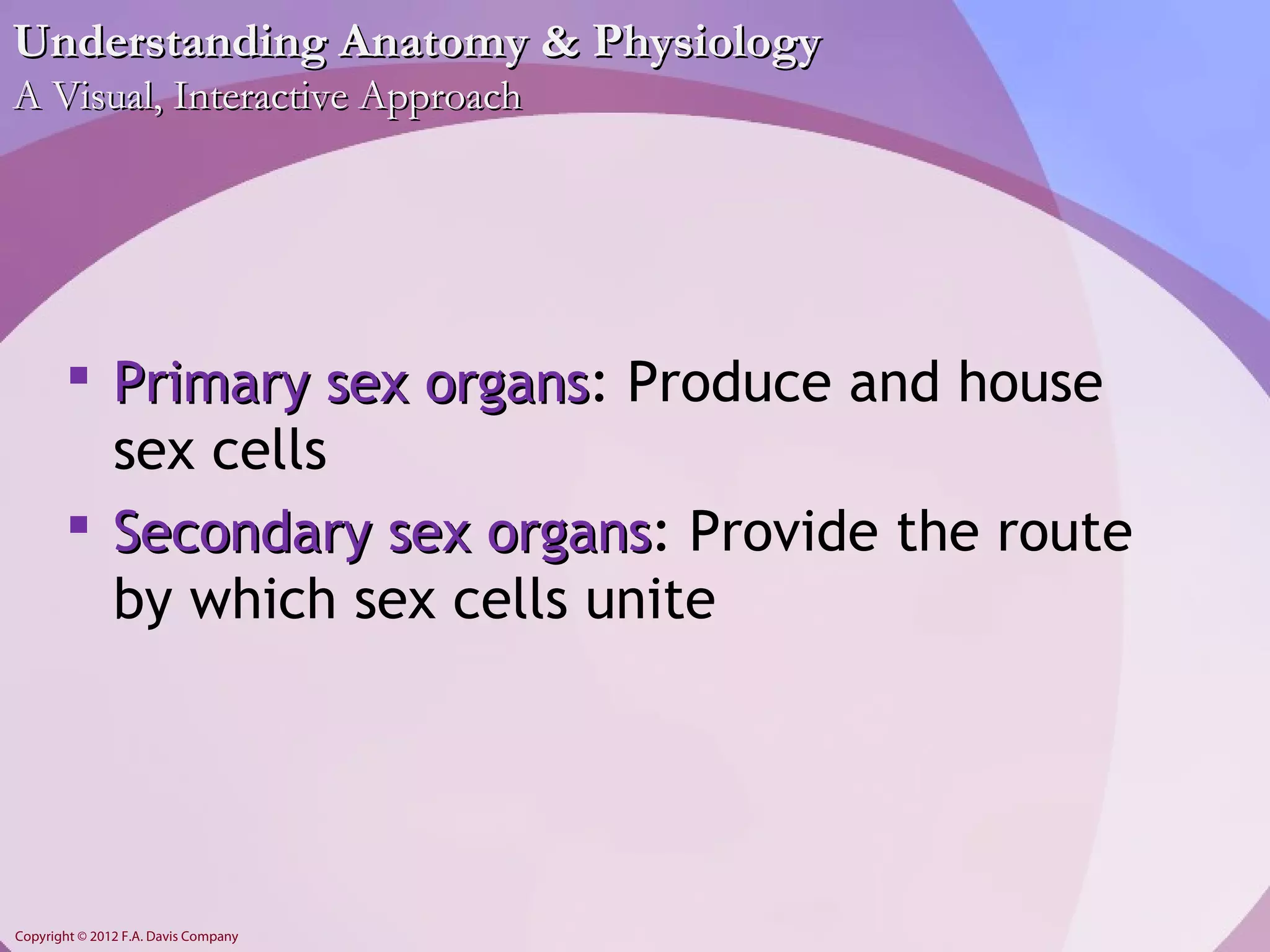 Chapter22 - Reproductive System | PPT