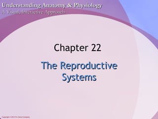 Chapter22 - Reproductive System | PPT