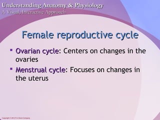 Chapter22 - Reproductive System | PPT