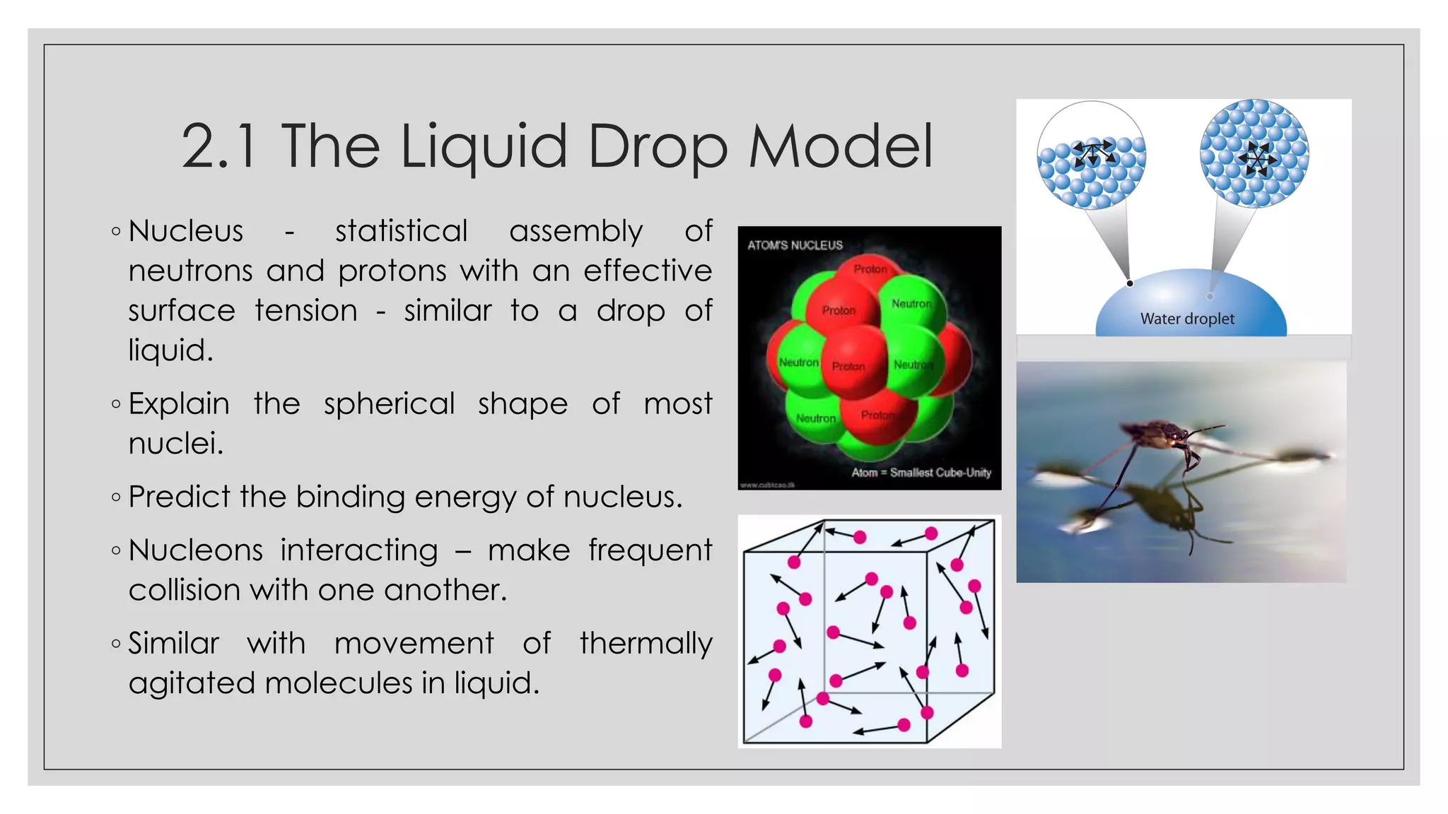 Nuclear Models | PDF