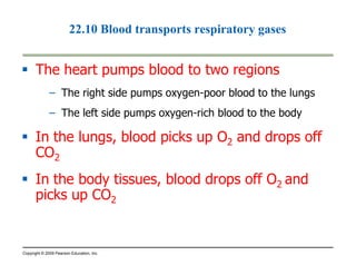 Chapter 22 gas exchange [compatibility mode] | PPT