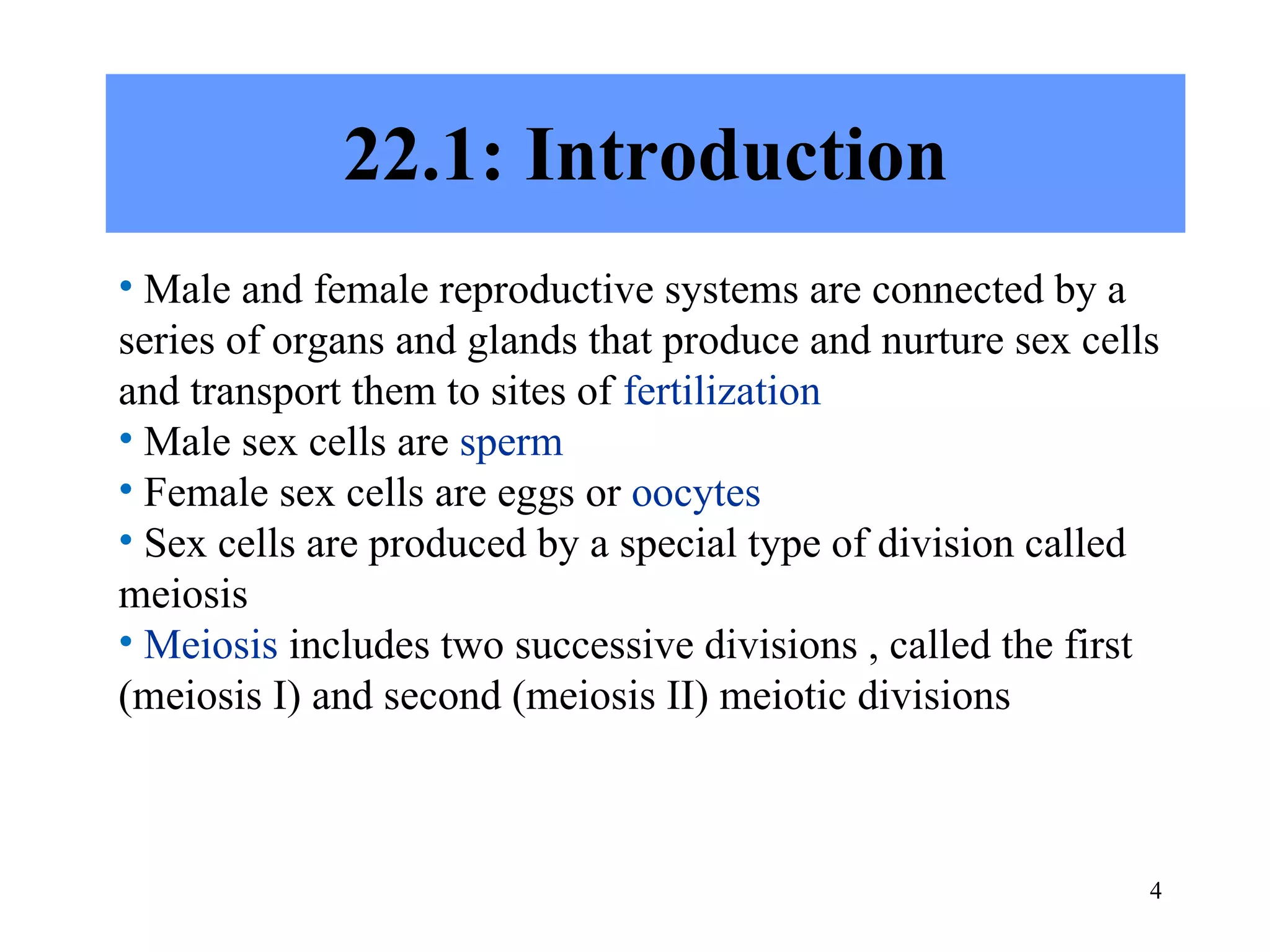Chapter 22 Reproductive System | PPT