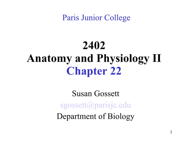 Chapter 22 Reproductive System | PPT