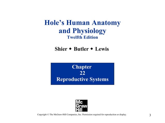 Chapter 22 Reproductive System | PPT