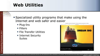 Chapter22017 | PPTX | Internet for Beginners | Internet