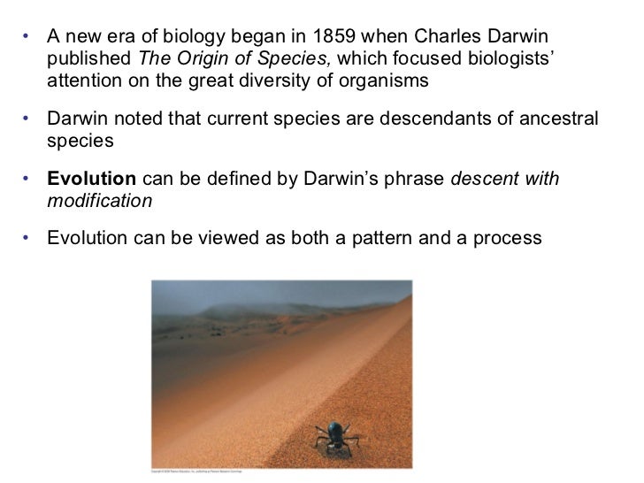 Chapter 22 darwinian view