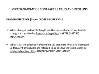 Chapter 22 Mechanism of Cardiac Contraction.pptx
