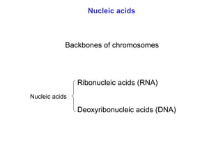 Chapter 22 Nucleic acids and Protein synthesis [Autosaved].ppt