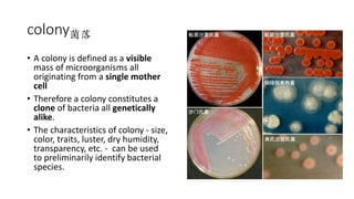 独中生物 Chapter 22 Microorganism | PPTX